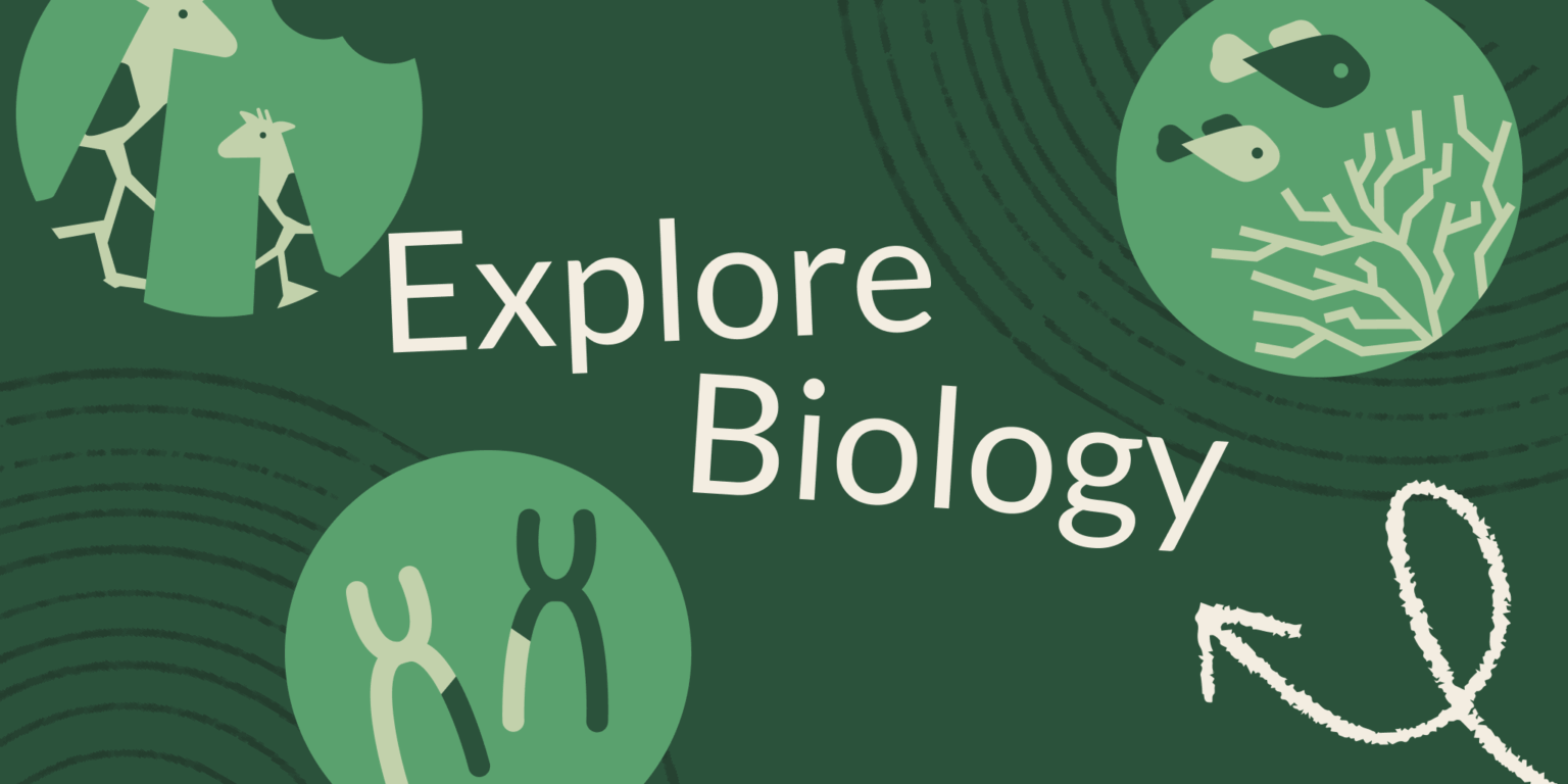 How To Teach High School Biology This Year Without Starting From